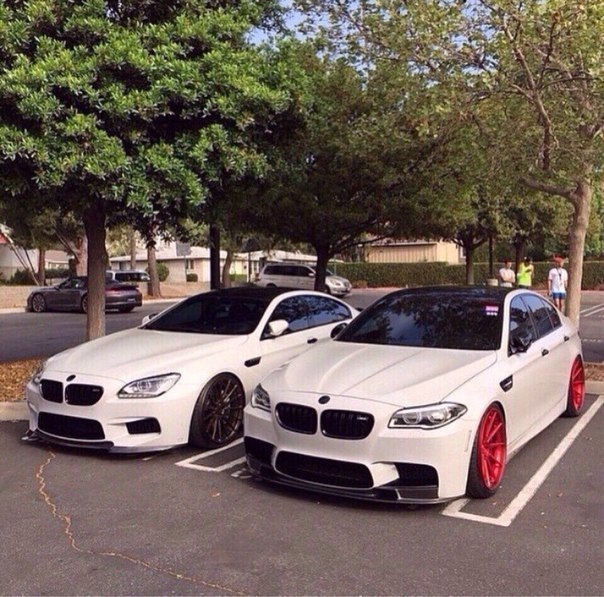BMW M6 & M5 | БМВ | BMW | Фотострана | Пост №659604515