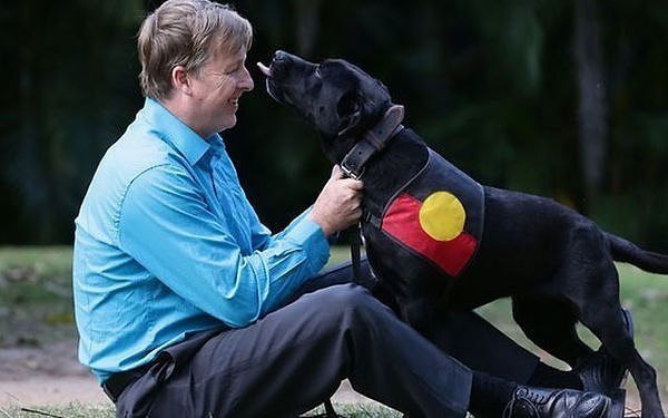 У собаки одна цель в жизни: подарить свое сердце. © Joe ... | Собаки ...