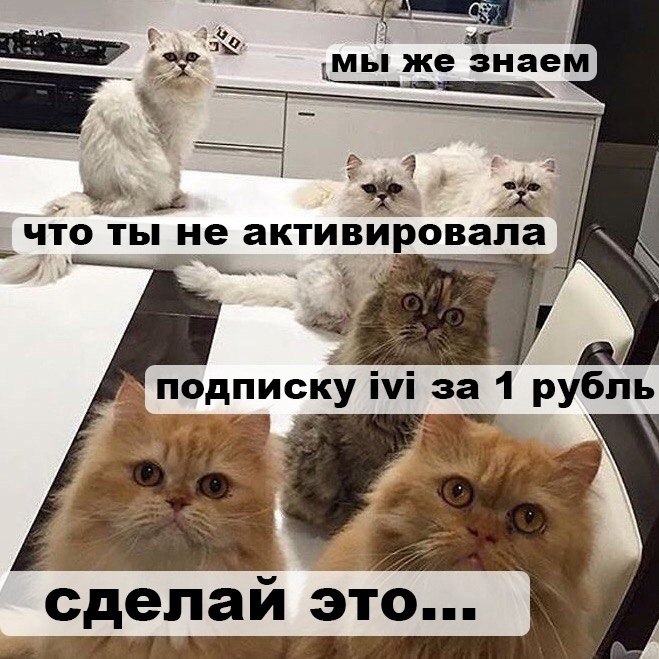 Онлайн-кинотеатр IVI - 30 дней подписки за 1 в подарок! ... | Академия ...